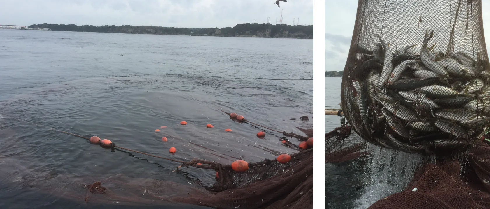 Zippers for fishing nets evolving in the field Contributing to Fishery ...