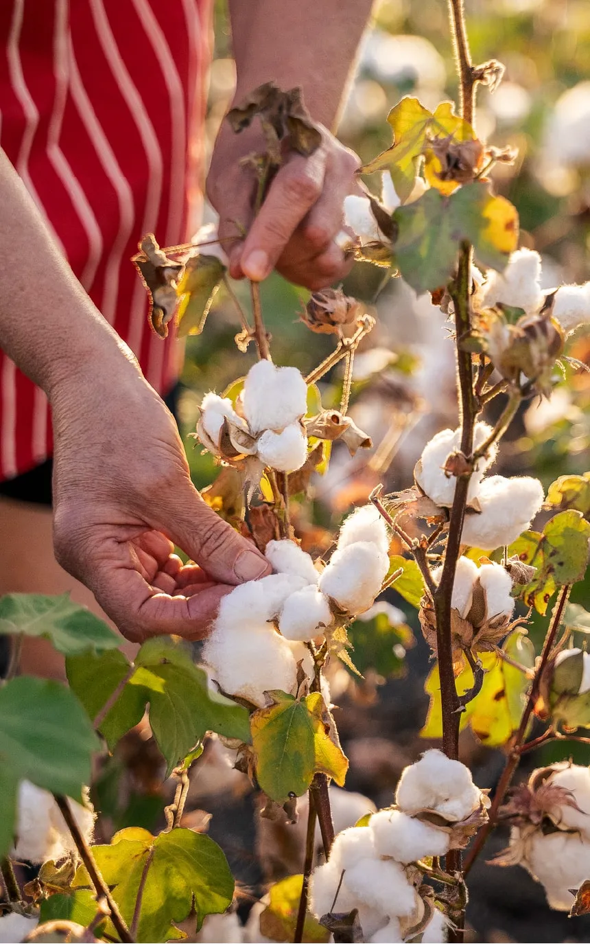 plant fiber | SUSTAINABLE PRODUCTS | SUSTAINABILITY | YKK DIGITAL SHOWROOM